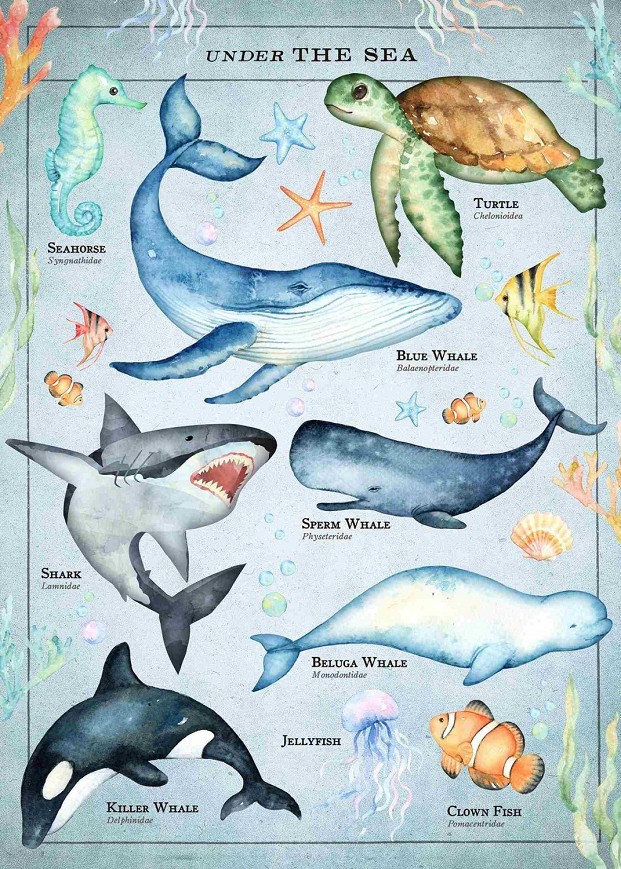 UNDER THE SEA ANIMALS