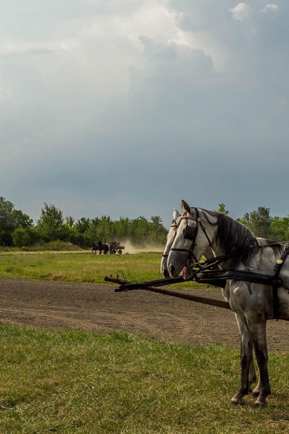 KRISTINA MEĐEŠI - 13