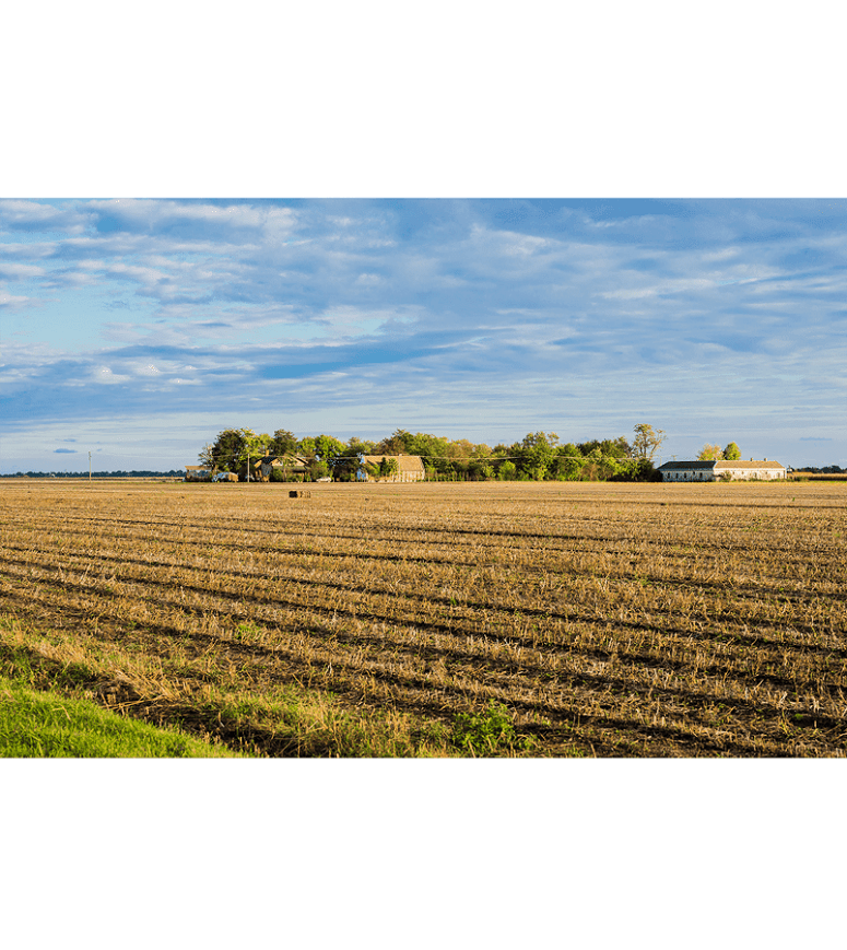 IMANJE U VOJVODINI - DUŠAN PRODANOVIĆ