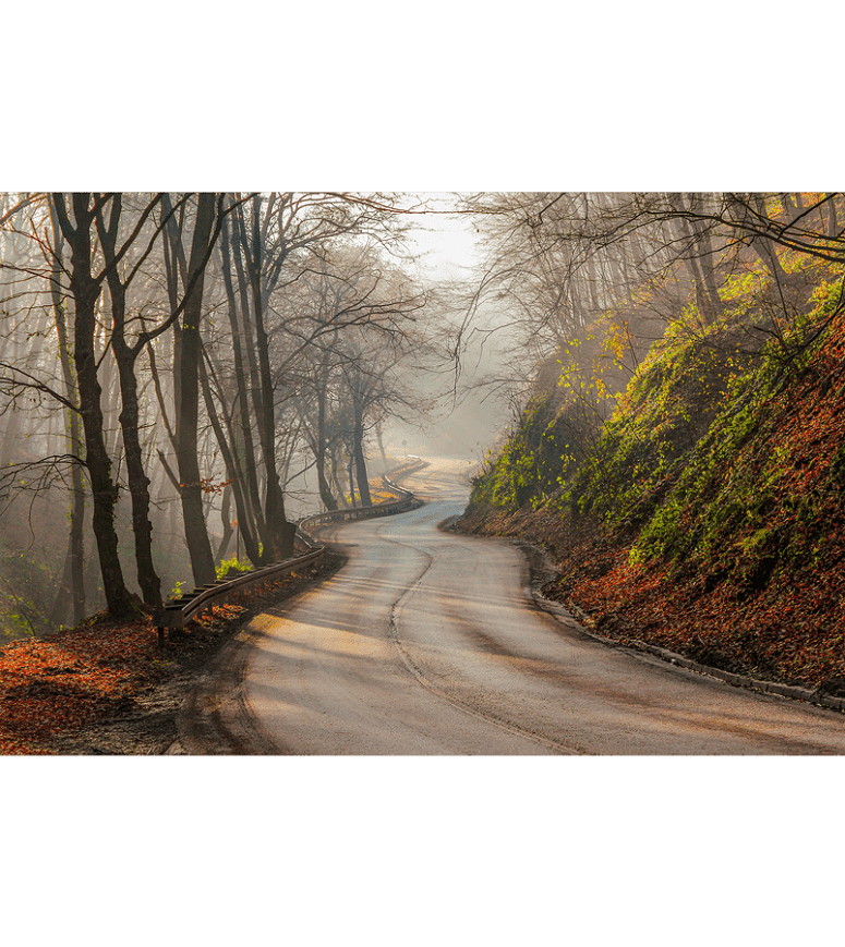 PUT NA FRUŠKOJ GORI - DUŠAN PRODANOVIĆ