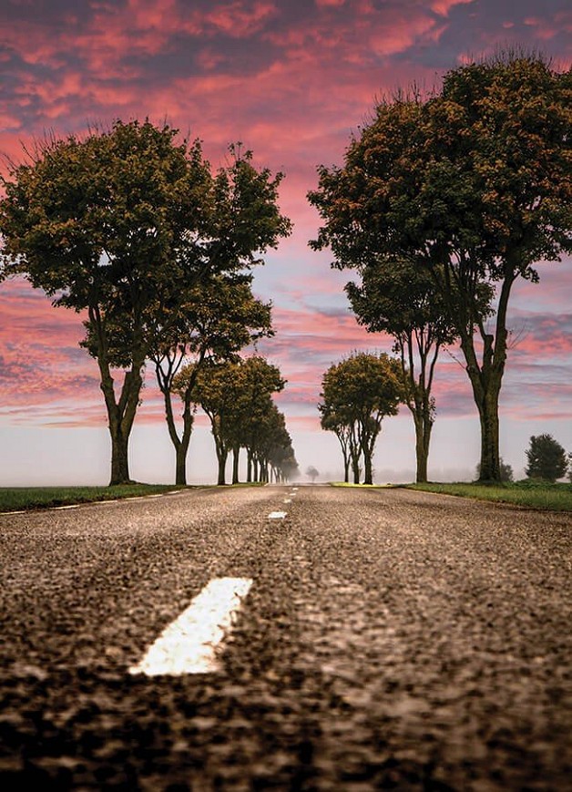 ROAD AND PINK SKY