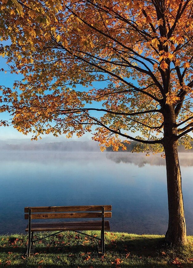 BENCH BY THE LAKE ON AN AUTUMN’S DAY