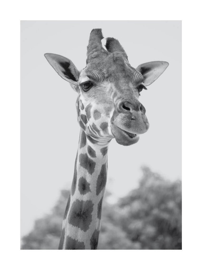 GIRAFFE