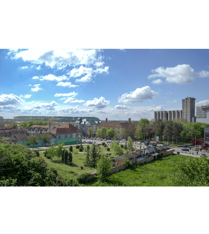 HOUSES IN THE DISTANCE - RATKO NEDOVIĆ