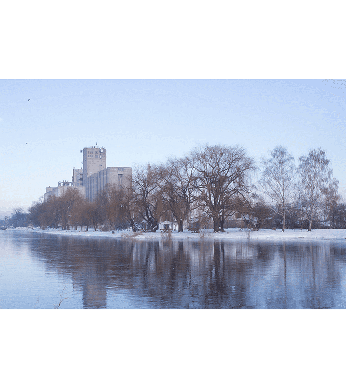 COLD DAY - RATKO NEDOVIĆ