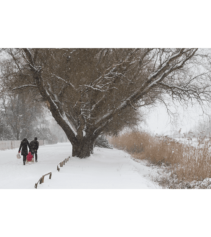 WALK IN WINTER - RATKO NEDOVIĆ