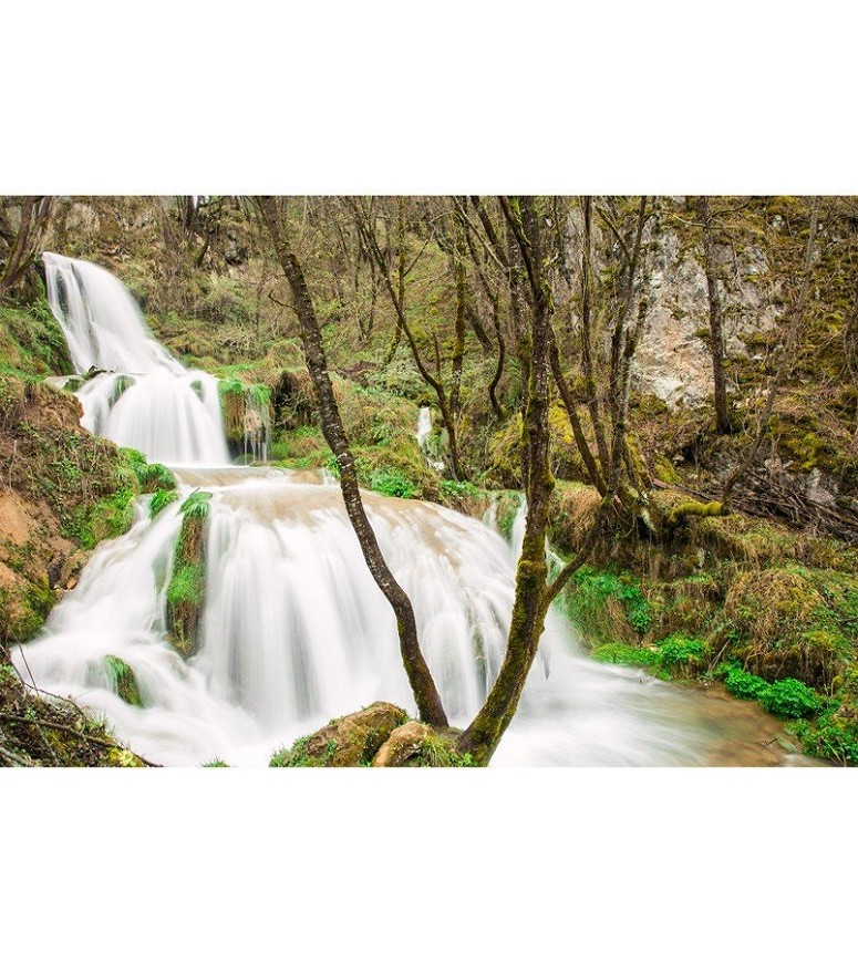 ÁRAMLÁS ZLATIBOR - TEODORA BALAŠA