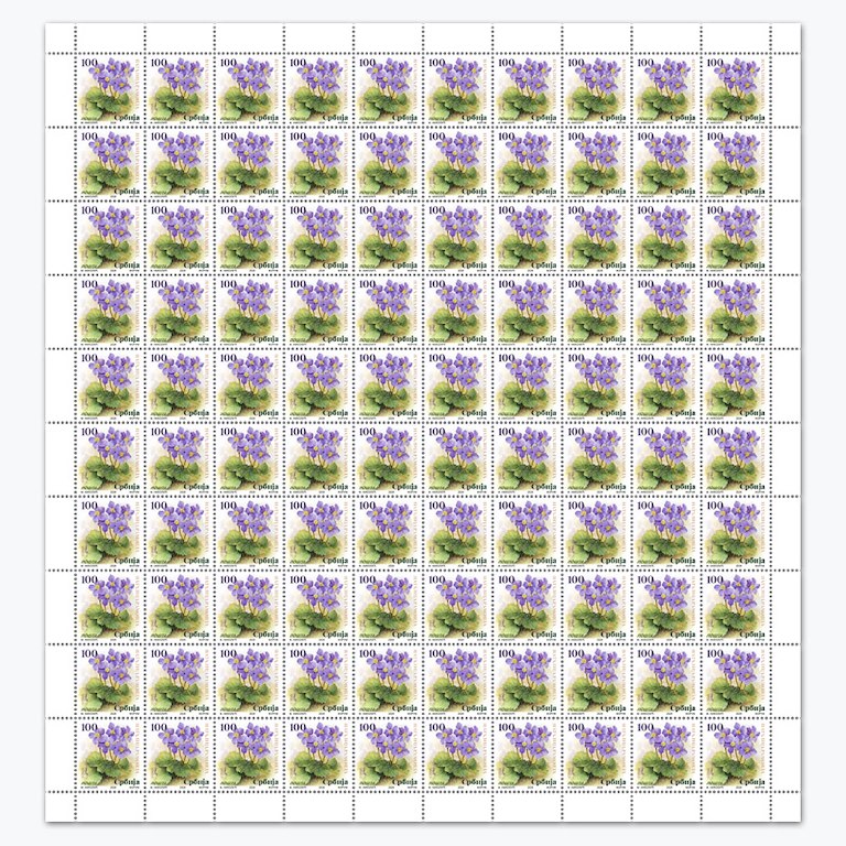Редовна марка Наталија рамонда 2026