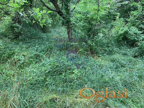 Plac 2956m2 Novi Ledinci