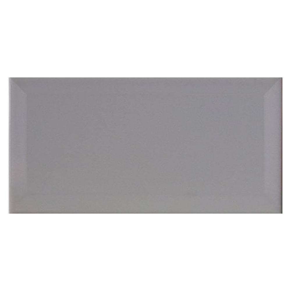 Ceramica Vilar Albaro Monocolor Plata Biselado Brillo 10×20