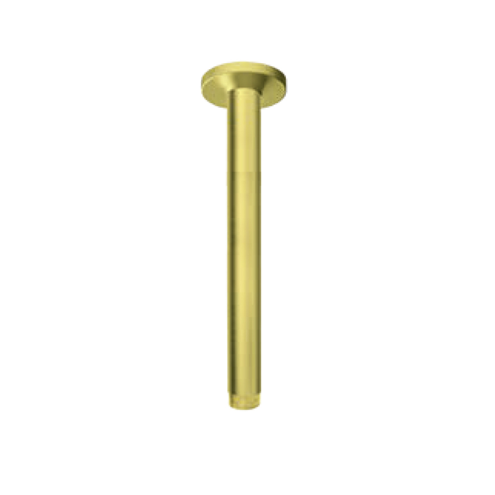Rosan S2 Gold izliv tuš ruže za plafon 300mm PTRKUZ13G