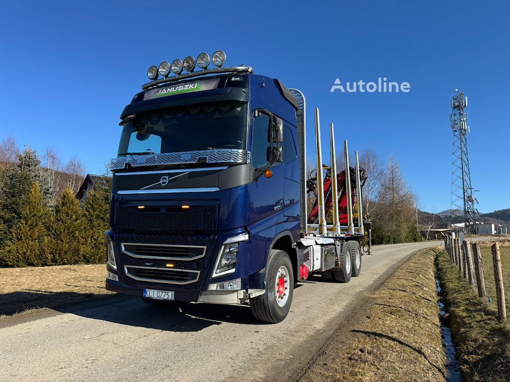Volvo FH16 600 kamion za prevoz drva