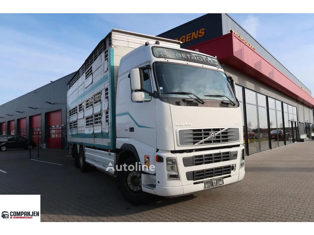 Volvo FH 480 FH 480 Cattle transport kamion za prevoz stoke