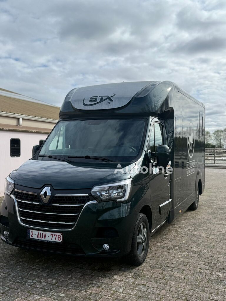 Renault Master vozilo za prevoz konja