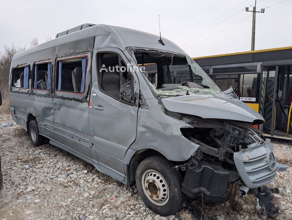 Mercedes-Benz Sprinter 519 putnički minibus