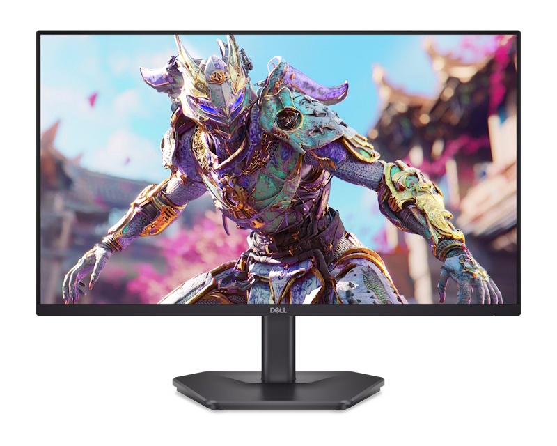 DELL 23.8 inch SE2426HG 240Hz FreeSync IPS Gaming monitor