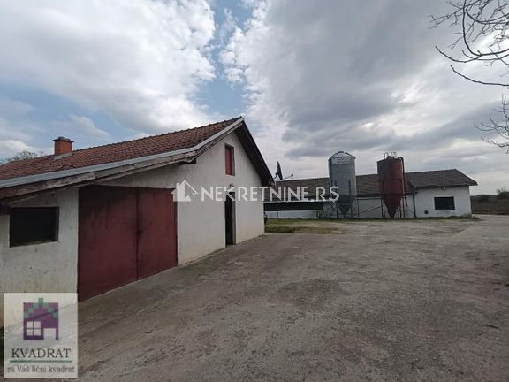 PRODAJA FARME KOKA NOSILJA – na placu od 109 ari, Zvečka, Šabački put, Obrenovac - 450.000€