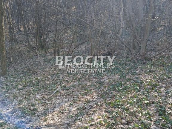 Novi Sad, Popovica, Artiljevo, 22a, 75000EUR