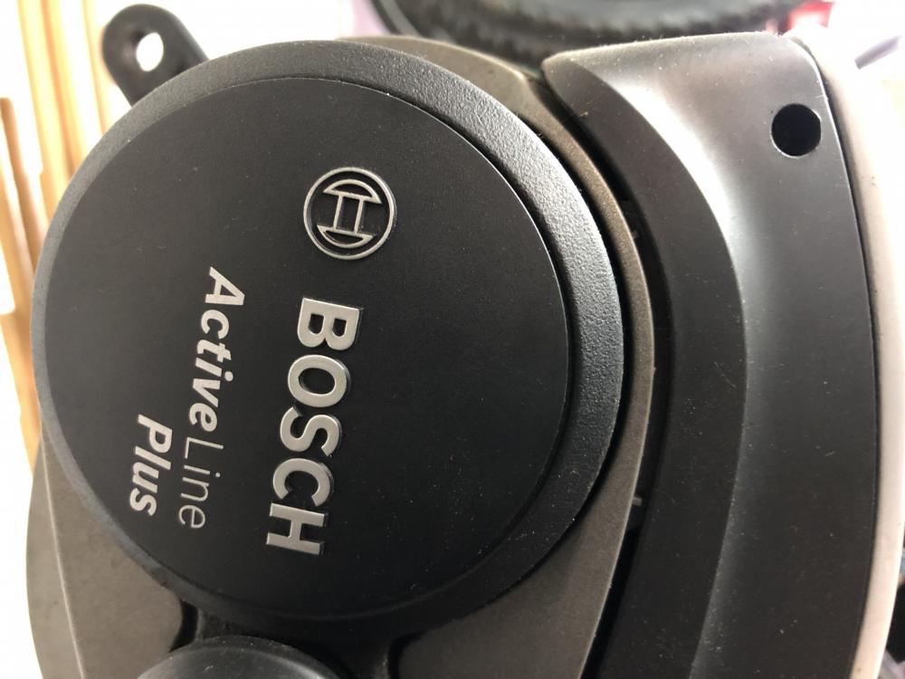 Motor Bosch Active line plus