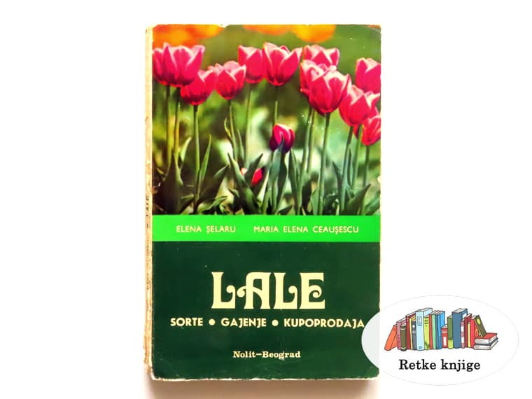 Lale – sorte, gajenje, kupoprodaja – na prodaju