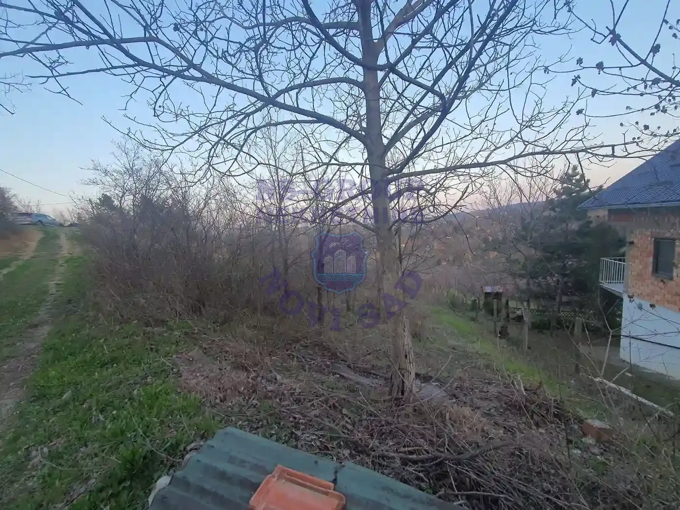 Bocke, Sremska Kamenica