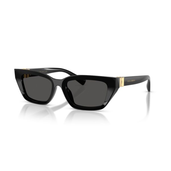 DOLCE & GABBANA Sunčane naočare 0DG4532 501/87 53