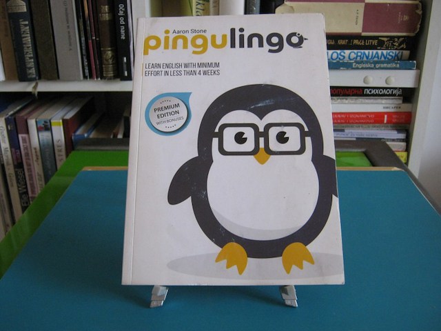 PINGULINGO,learn english-Aaron Stone