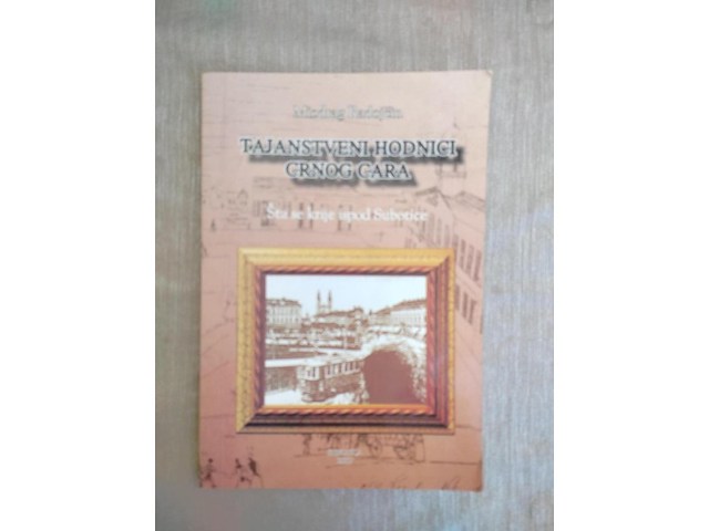 Tajanstveni hodnici Crnog cara - Miodrag Radojčin