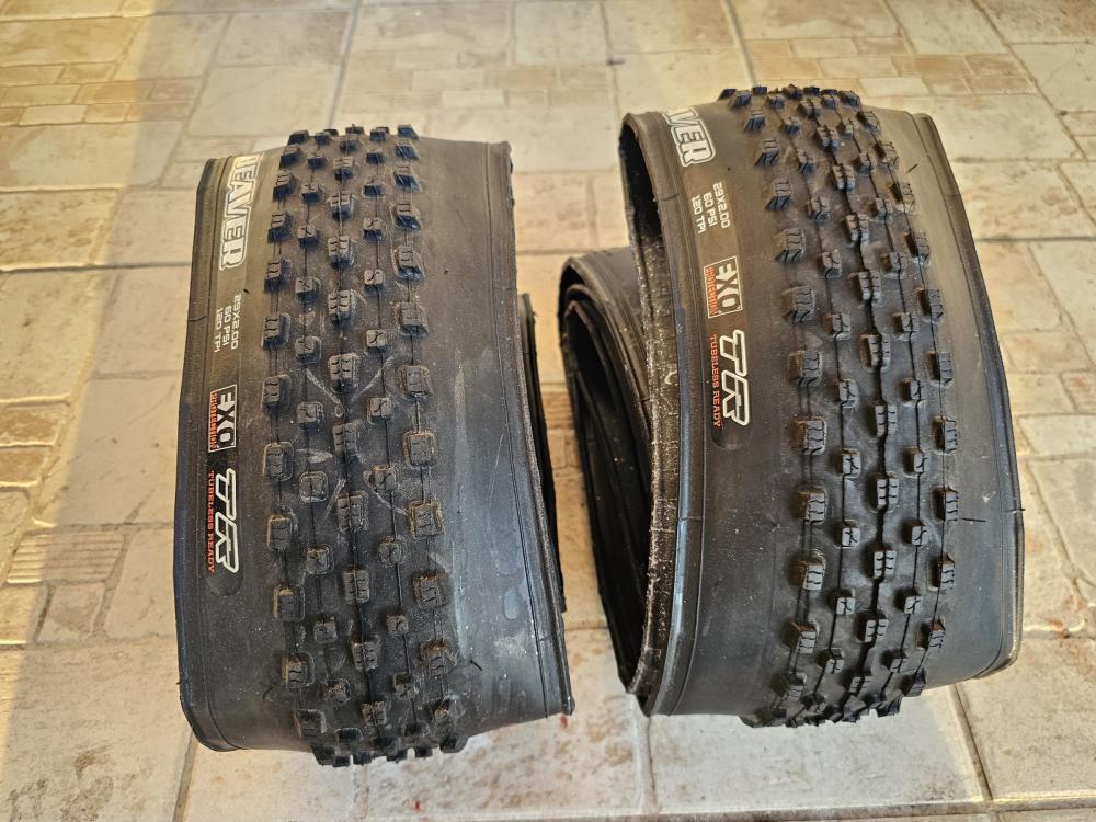 Maxxis Beaver 29x2,00 TR