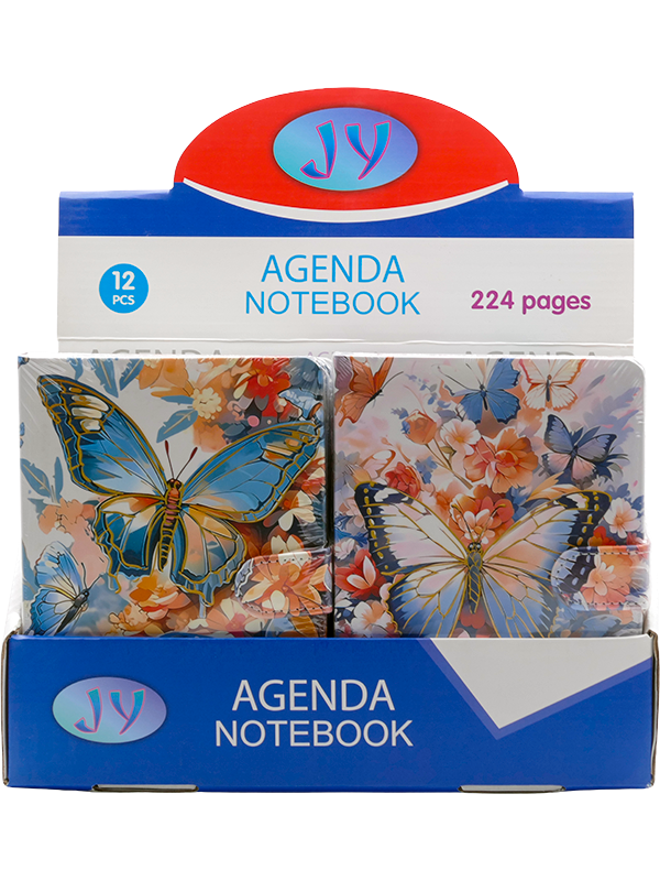 Notes Art set B6 – Buterfly