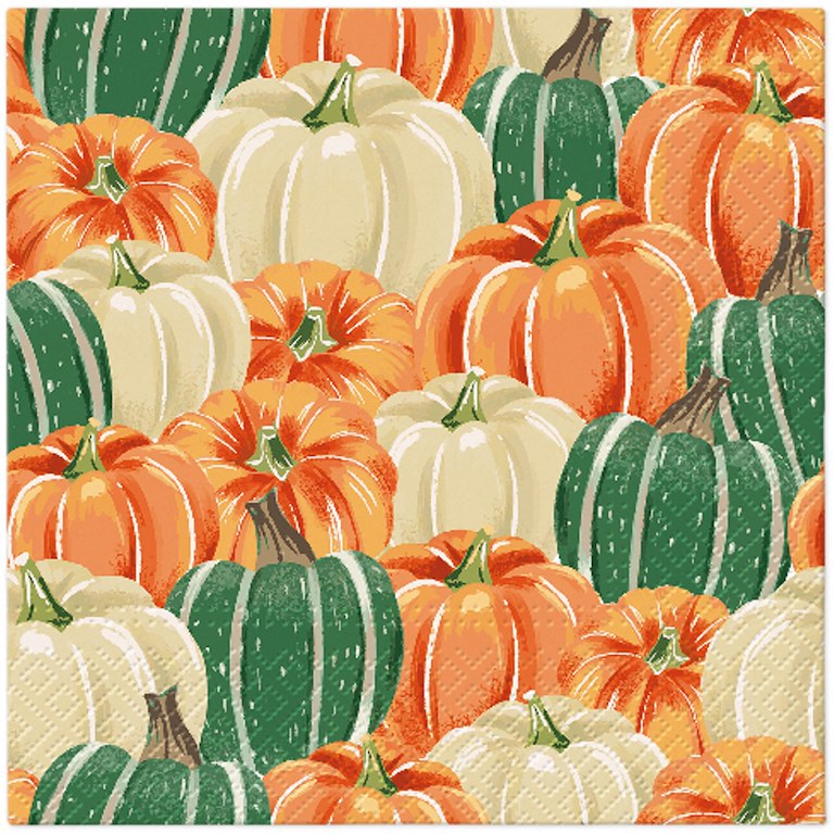 SALVETA EVERYDAY 33X33 20/1