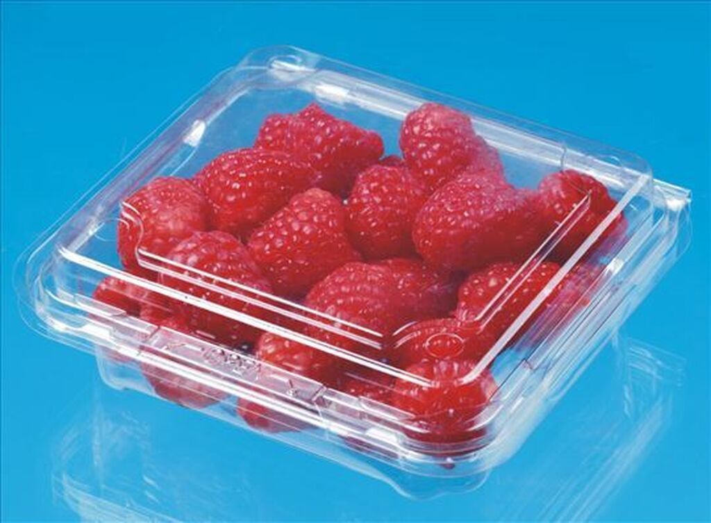 Pet i PVC posude za voće Prodaja na veliko i malo PVC i PET ambalaze