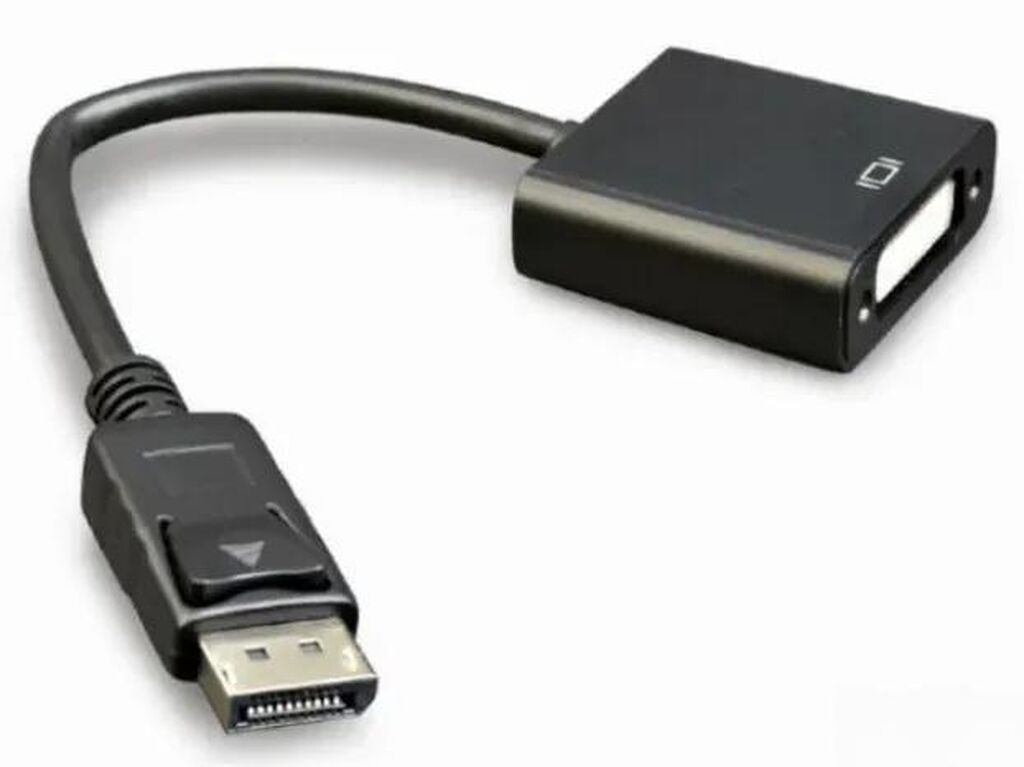 DisplayPort na DVI adapter (DP–DVI) - Pretvara DisplayPort izlaz sa