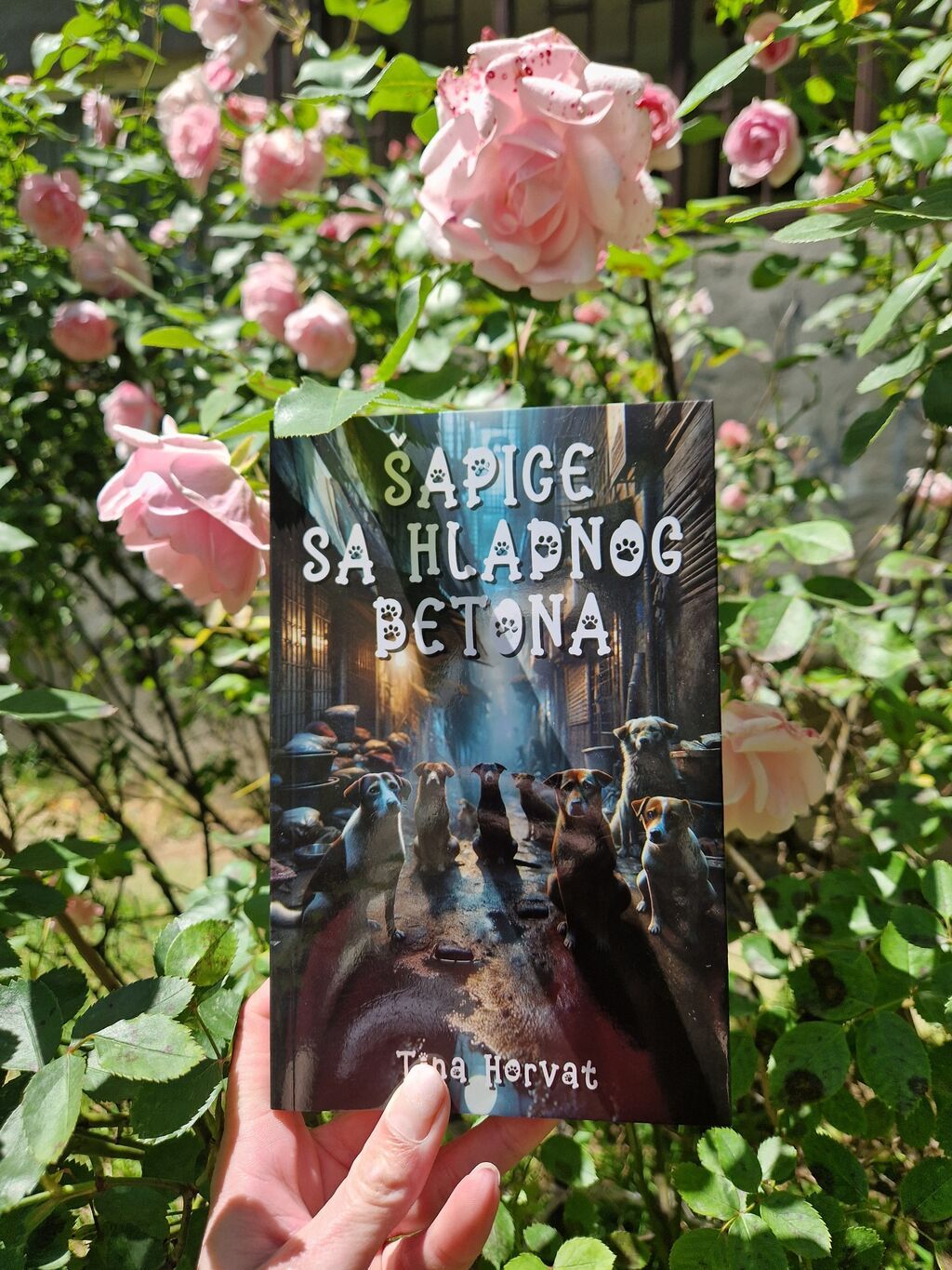 Knjiga: Šapice sa hladnog betona Autor: Tina Horvat Jezik: srpski