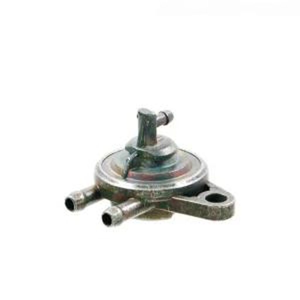 Vakumski regulator pritiska goriva (fuel pressure regulator) - Tip