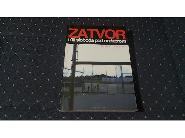 Zatvor i/ili sloboda pod nadzorom/Z.Ilic,G.Jovanic
