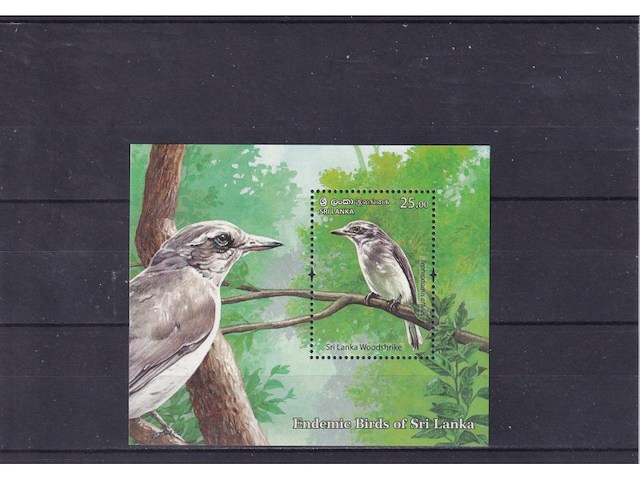 Sri Lanka Fauna