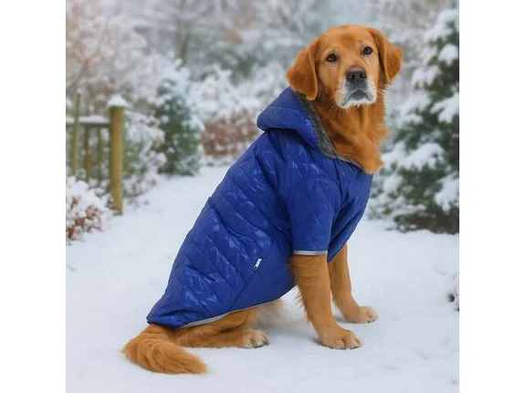 Evila Originals Duks za pse Bluecoat