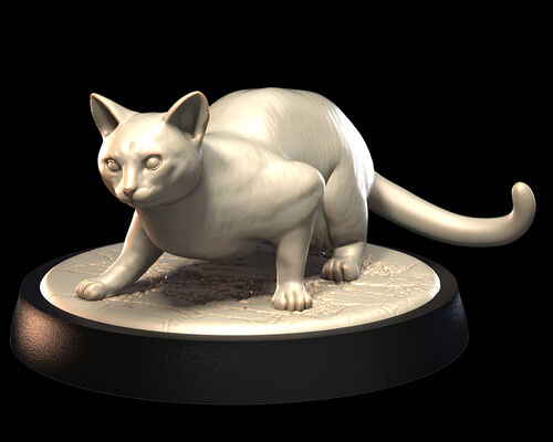EMP3D 35130140 Koty Rasowe - Ocicat (2 różne sztuki)