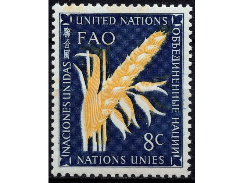 UN New York 1954. FAO