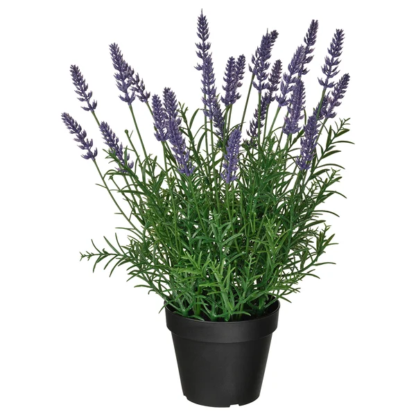 Veštačka biljka u saksiji, unutra/spolja/lavanda lila, 12 cm