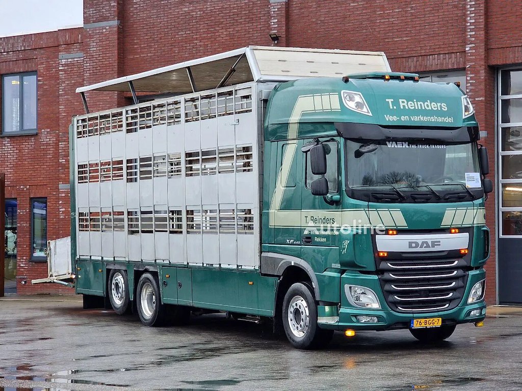 DAF XF 440 SuperSpaceCab 6x2*4 - Cuppers 1-2-3 deck Livestock kamion za prevoz stoke