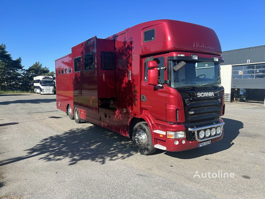 Scania R340 kamion za prevoz konja