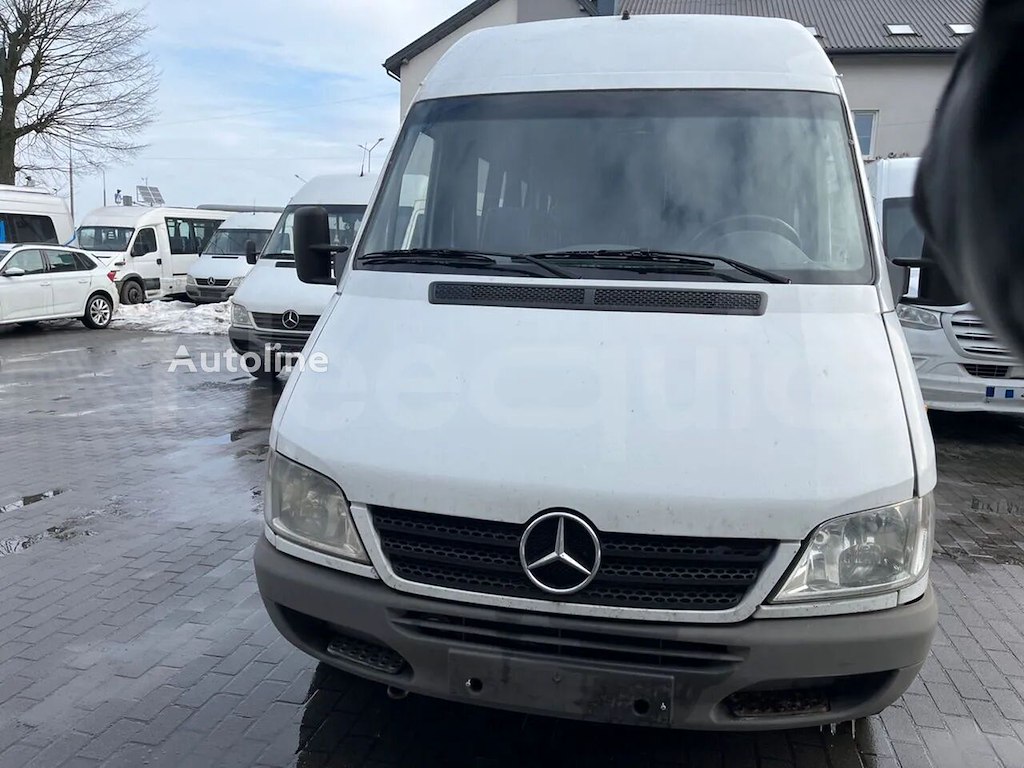 Mercedes-Benz Sprinter 313 putnički minibus