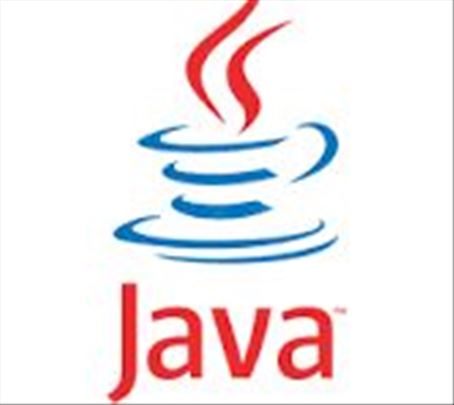 Java, Spring Boot, C#, Docker, Linux, Angular
