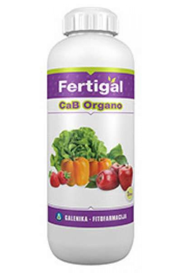 FERTIGAL CaB ORGANO 1/1
Šifra: 5446 JM: LIT