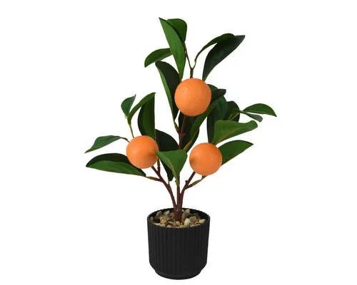 DRVO POMORANDŽE 27 cm