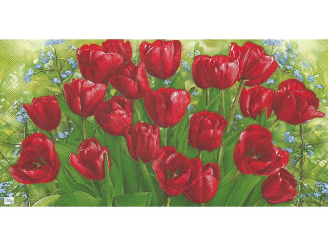 Salveta POV32C_126 - 33x33cm - Cveće Lale