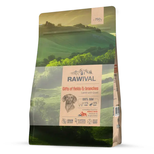 Craftia Rawival Suva hrana za odrasle pse srednjih i velikih rasa od jagnjetine sa prepelicom, 0.75kg