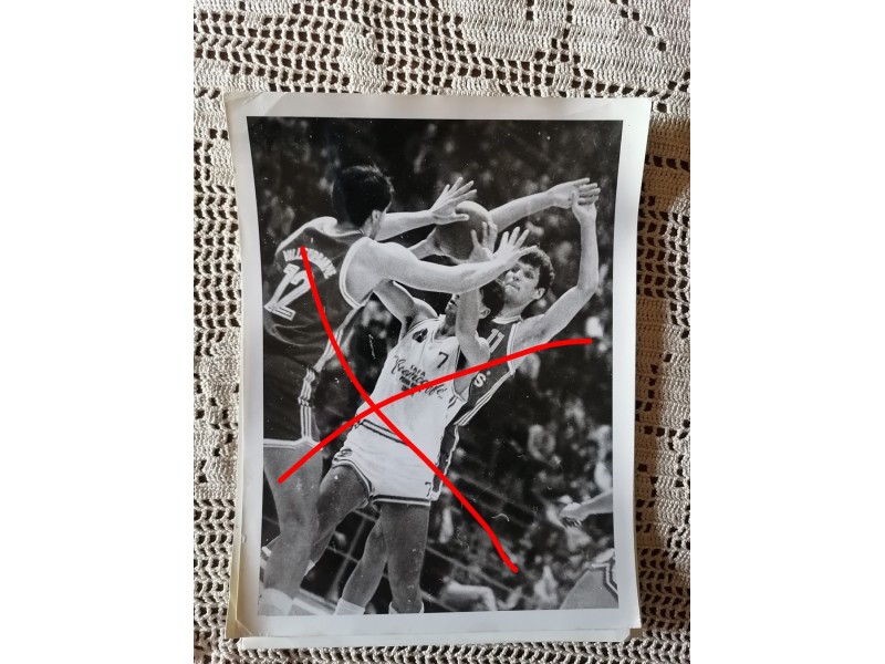 7 original press foto Kk Crvena Zvezda kup Koraća 80te